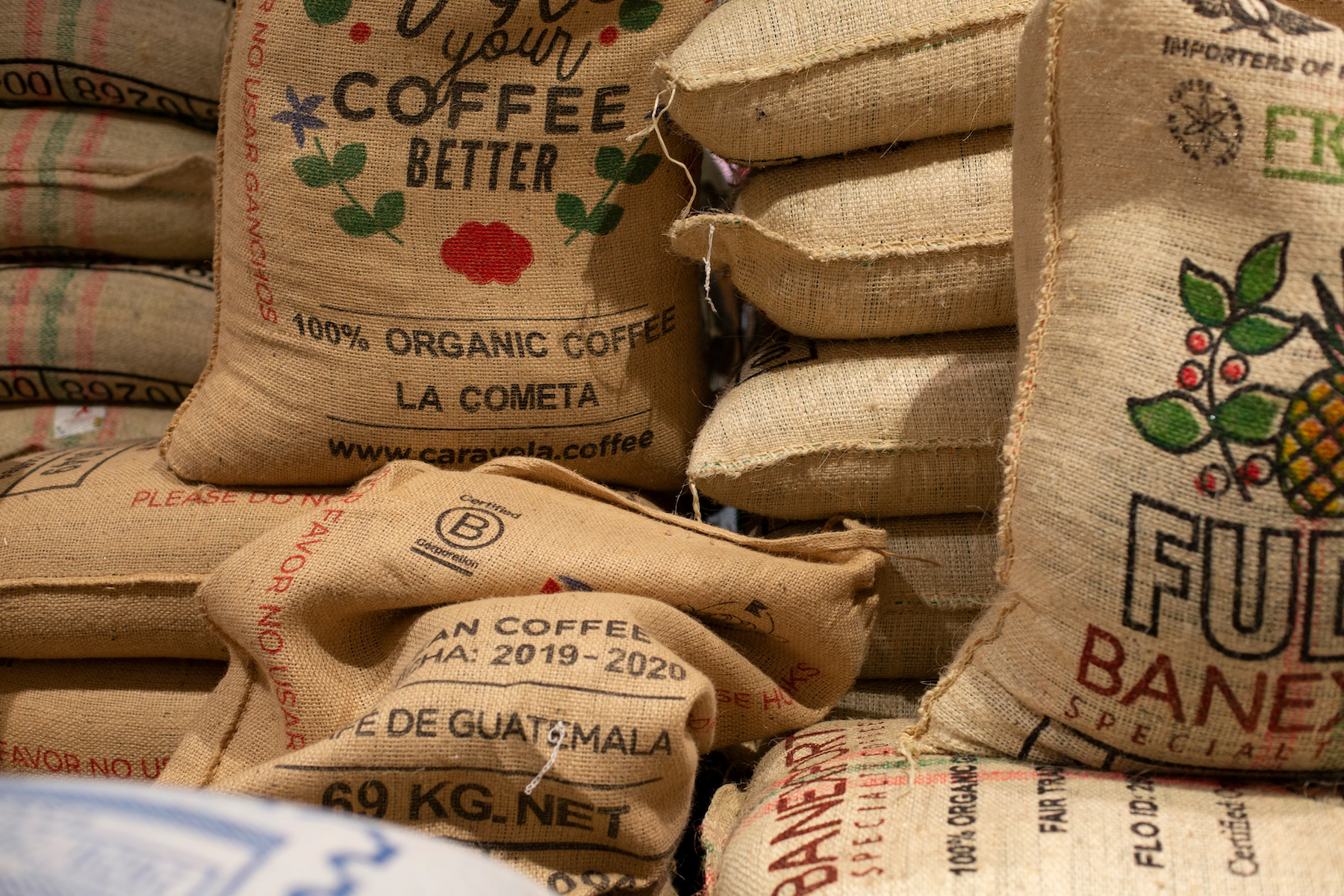 Por qué hay poco café (y está tan caro) - Sommelier de Café